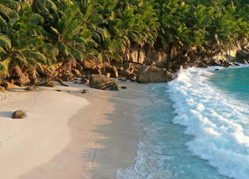 FMCG Seychelles | Food Importers - Leaders in Food Service & Retail ...